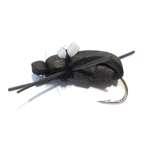 Juodas Vabalas VAB024