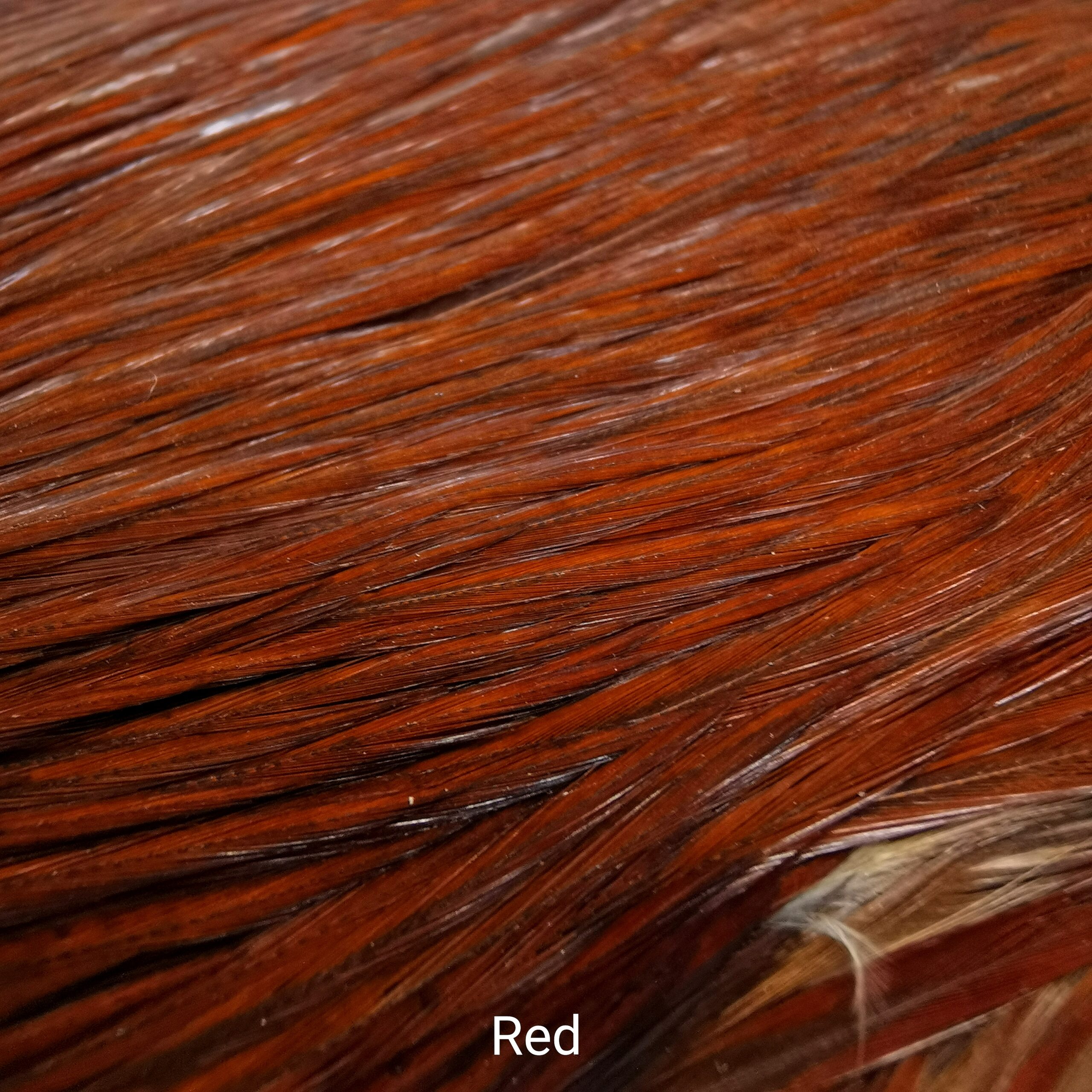 Indian Cock Skalpas - Veniard