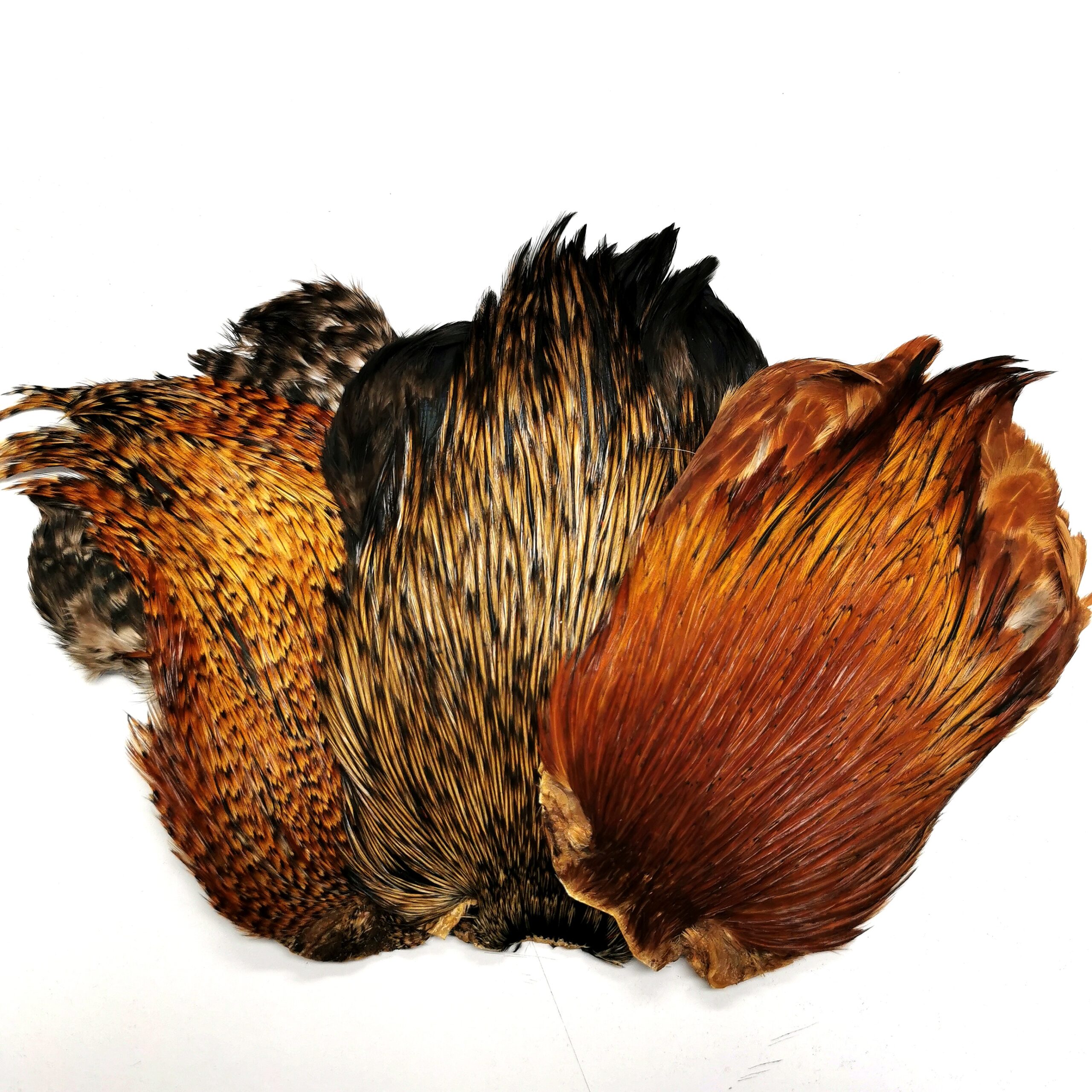 Indian Cock Skalpas - Veniard